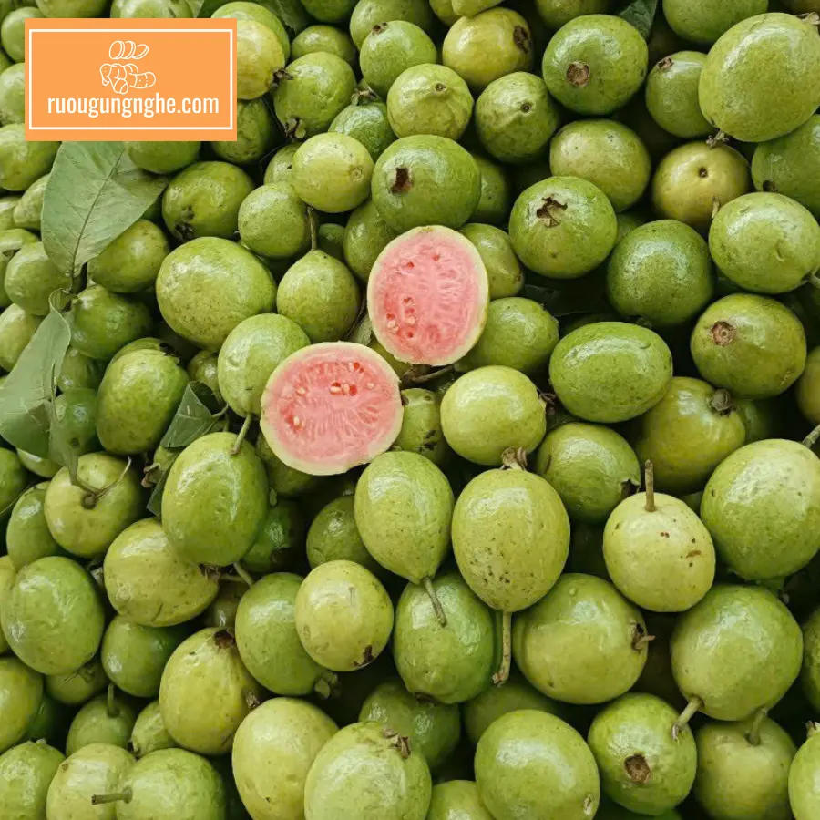 10 Cách Ngâm Rượu Ổi Ngon Mà Bạn Nên Thử Ngay Tại Nhà